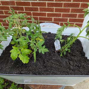 MENARDS - Updated December 2025 - 81 Photos & 77 Reviews - 715 Fort ...