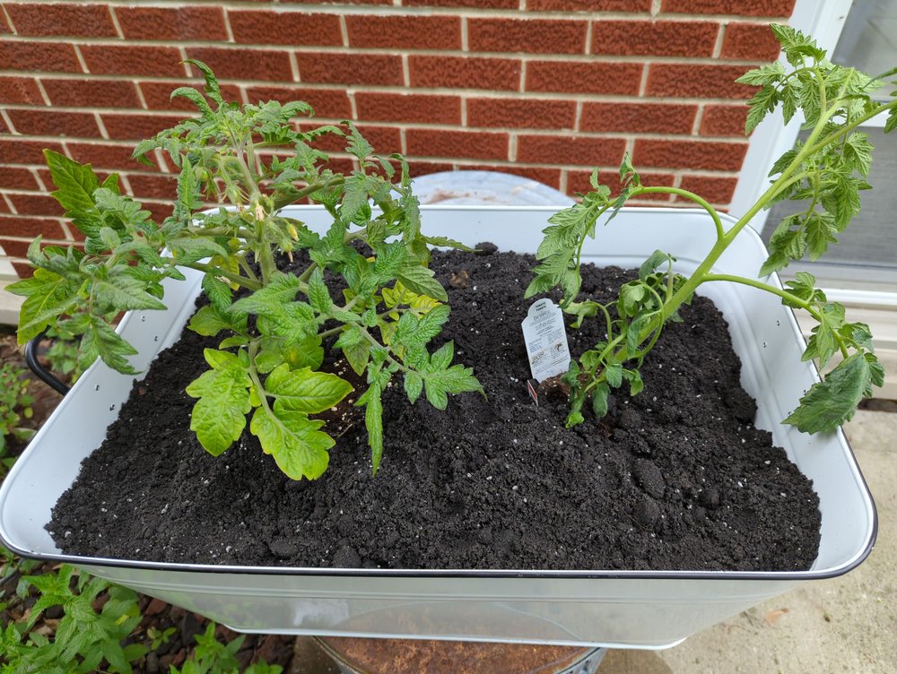 MENARDS - Updated January 2026 - 14 Photos & 52 Reviews - 290 N ...