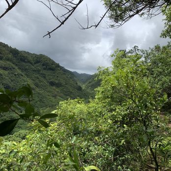 WAIMANO LOOP TRAIL - Updated August 2024 - 429 Photos & 87 Reviews ...