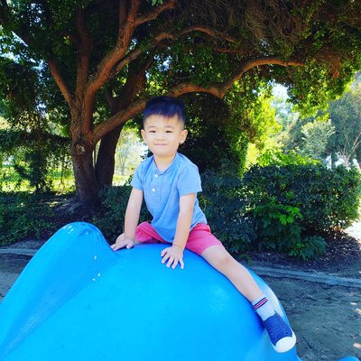 ATLANTIS PLAY CENTER - 174 Photos & 119 Reviews - Parks - 13630 ...