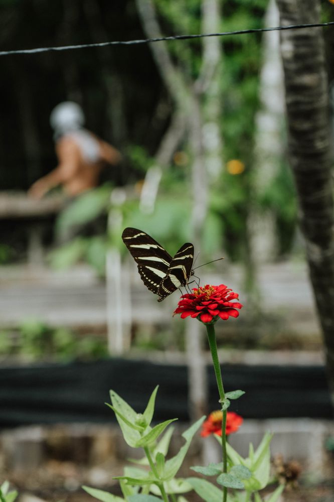 KITCHEN TABLE TULUM - Updated December 2024 - 11 Photos - Quintana Roo ...