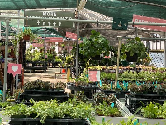 STRANGE’S FLORISTS GREENHOUSES & GARDEN CENTERS - Updated August 2024 ...