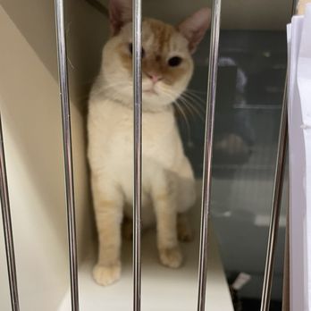 HEARTS ALIVE VILLAGE - Updated July 2024 - 181 Photos & 148 Reviews ...