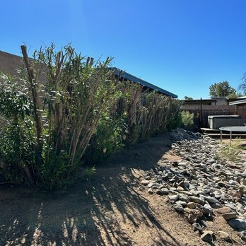 TREE MONKEY TREE TRIMMING - Updated September 2024 - 94 Photos & 57 ...