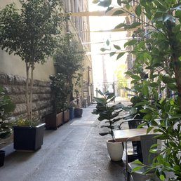 BAR AMA - Updated August 2024 - 1626 Photos & 1334 Reviews - 118 W 4th ...