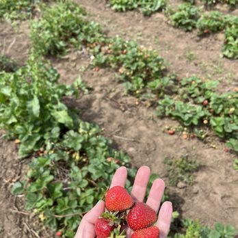 HOFFMAN FARM STORE - Updated October 2025 - 293 Photos & 120 Reviews ...