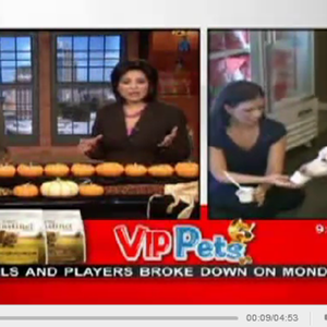 GAISER PETS - Updated July 2025 - 62 Photos & 103 Reviews - 714 Plumas ...