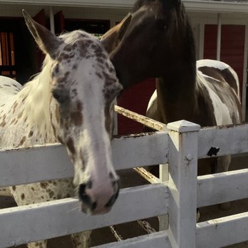 PURINA FARMS - Attraction Farm at 500 William Danforth Way, Gray Summit ...