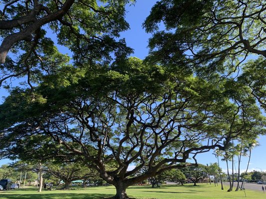 FORT RUGER MINI PARK / OPERATION RED WINGS MEDAL OF HONOR PARK ...