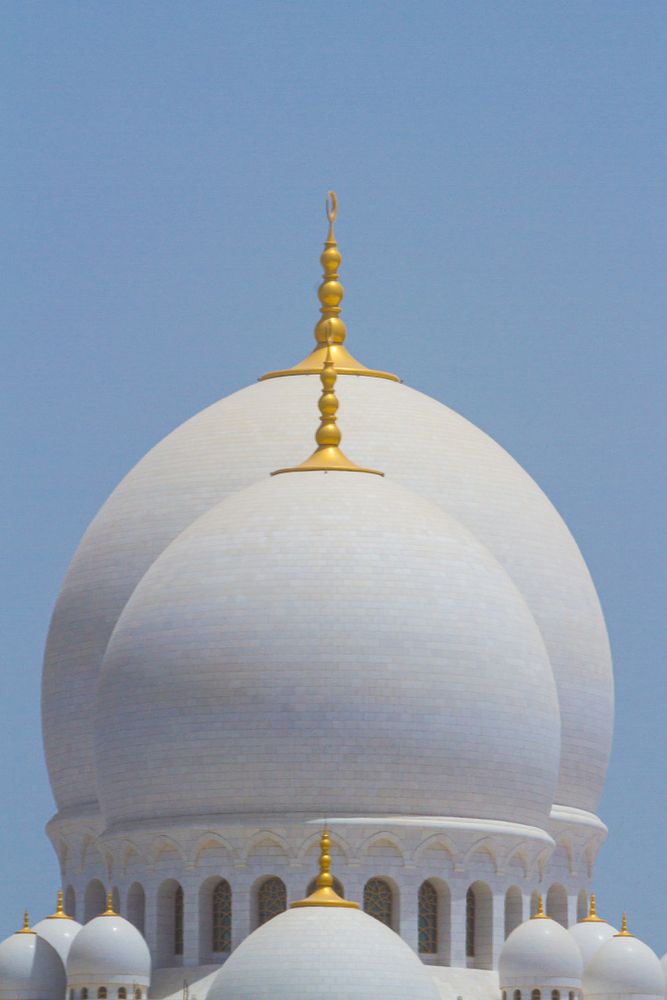 SNAPPER PRODUCTIONS - Updated November 2024 - Request a Quote - 52 ...