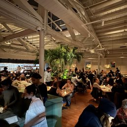 KALAYA - Updated December 2025 - 2175 Photos & 564 Reviews - 4 W Palmer ...