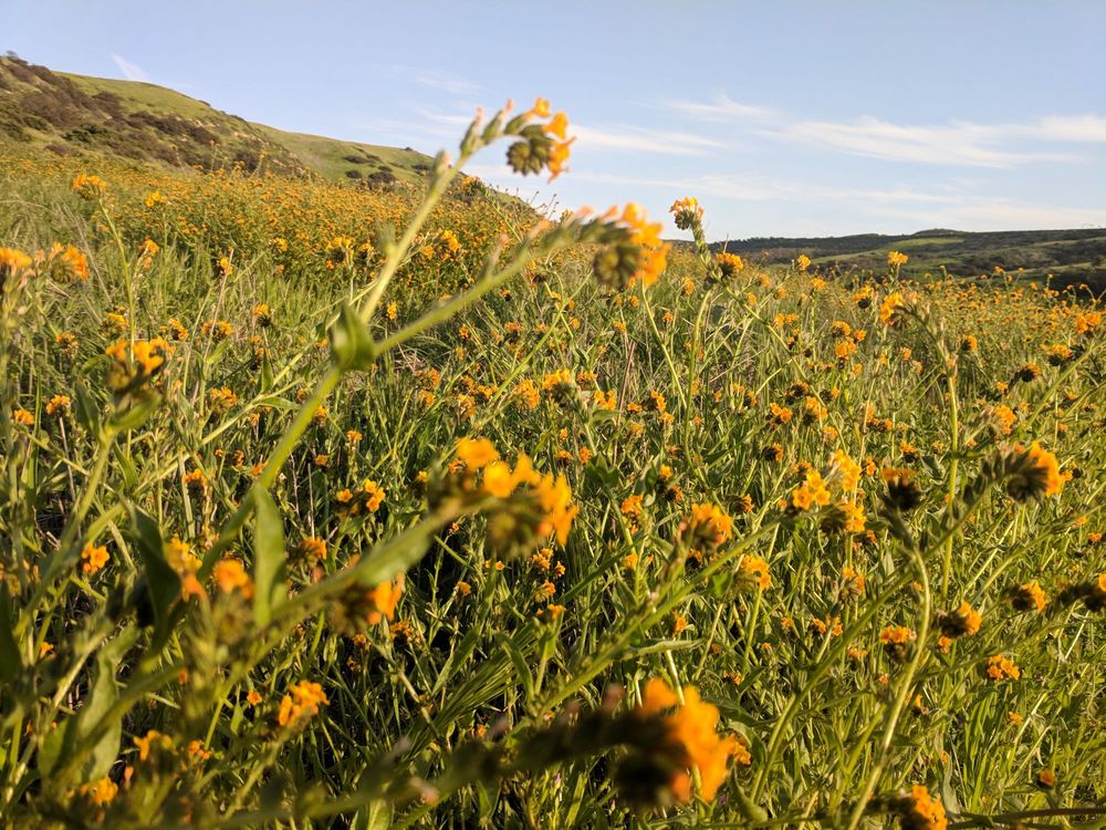 SHADY CANYON TRAIL - 127 Photos & 31 Reviews - Hiking - 34 Shady Canyon ...