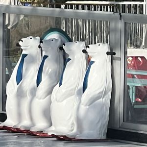 THE RINK ON THE BEACH - Updated December 2025 - 51 Photos & 25 Reviews ...