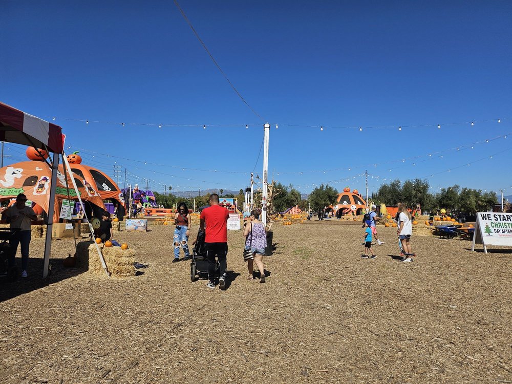 PIERCE PUMPKIN PATCH - Updated September 2024 - 20926 Victory Blvd, Los ...