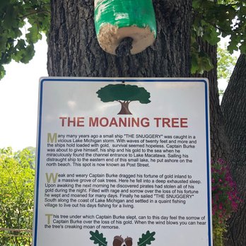 CAPTAIN SUNDAE - Updated January 2026 - 135 Photos & 121 Reviews - 365 ...