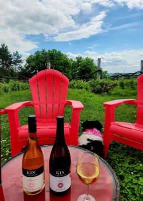 KIN VINEYARDS - Updated September 2025 - 15 Photos - 2225 Craig's Side ...