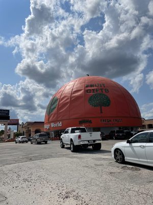 FLORIDA ORANGE WORLD - Updated June 2024 - 96 Photos & 75 Reviews ...
