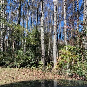 FOWLER PARK - Updated May 2025 - 53 Photos & 29 Reviews - 4110 Carolene ...