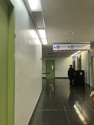 BELLEVUE HOSPITAL CENTER - Updated December 2025 - 42 Photos & 73 ...