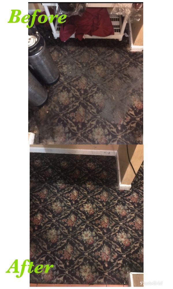 FIRST CLASS CARPET & UPHOLSTERY CLEANING - Updated June 2025 - 46 ...