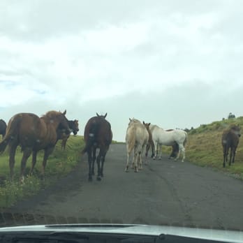 KAHUA RANCH - Updated June 2024 - 47 Photos & 26 Reviews - 59-564 ...