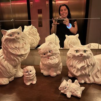 SILVER LYAN - Updated November 2024 - 433 Photos & 160 Reviews - 900 F ...