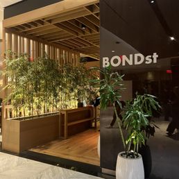 Bond ST - Trusted Since 2023 - Updated July 2025 - 249 Photos - 74 ...