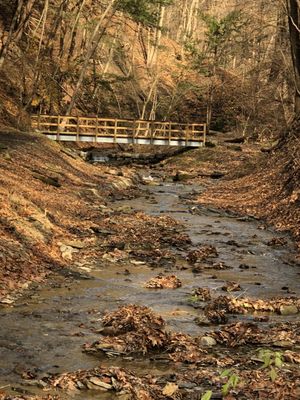 FALL RUN PARK - Updated July 2025 - 119 Photos & 25 Reviews - 187 Falls ...