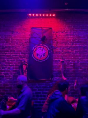 CAT CLUB - Updated December 2024 - 1750 Photos & 495 Reviews - 1190 ...