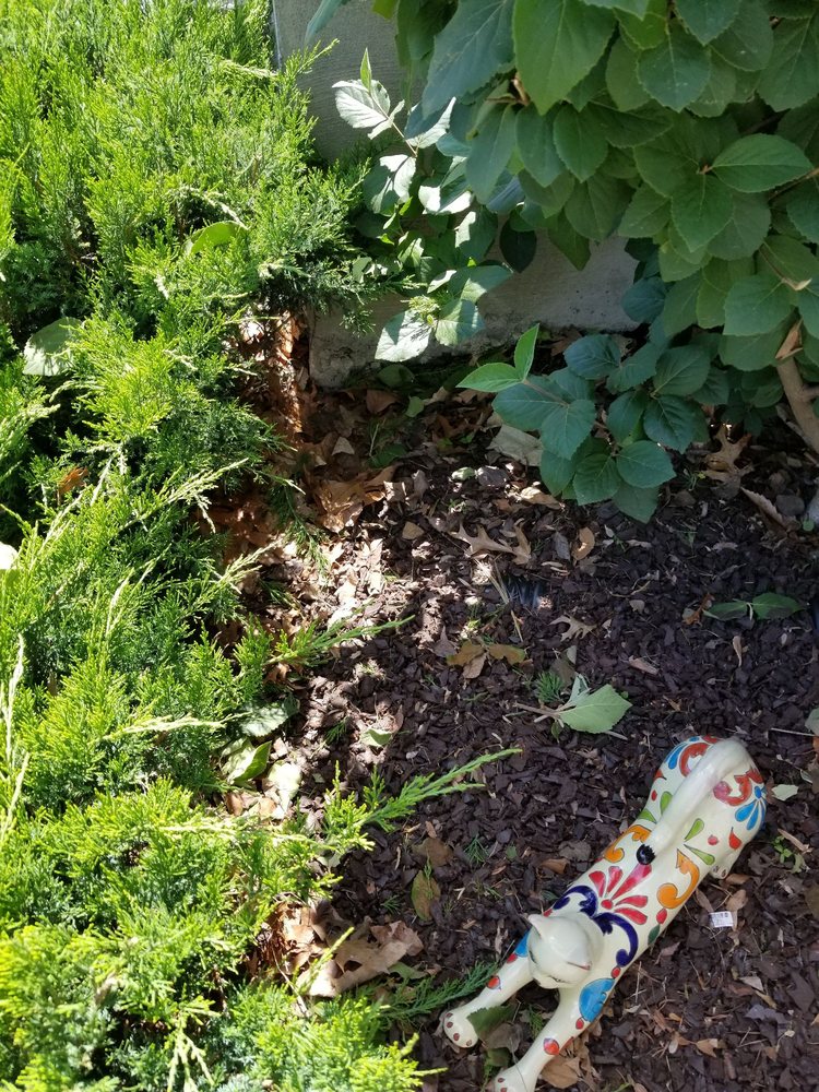 LAWN LOVE LAWN CARE - Updated May 2024 - 22 Photos & 34 Reviews - 111 S ...