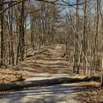 MAPLE NATURE RESERVE - Updated October 2025 - 10401 Dufferin Street ...