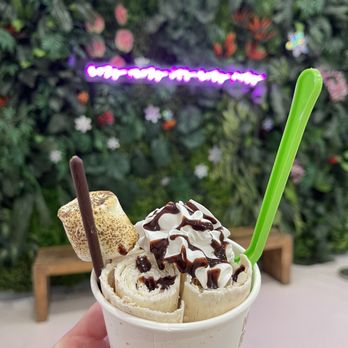 HOLY ROLY ICE CREAM - Updated March 2025 - 730 Photos & 379 Reviews ...