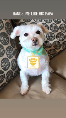 BISHOP RANCH VETERINARY CENTER & URGENT CARE - Updated June 2026 - 120 ...