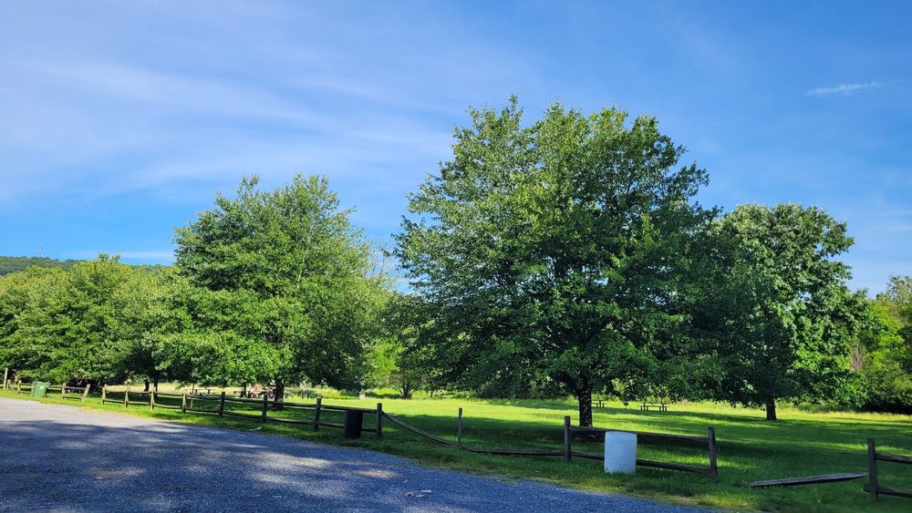 CITY OF READING MUNICIPAL PARK - Updated June 2024 - 403-549 Crystal ...