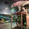 DINOSAUR OUTPOST - Updated April 2025 - 18 Photos & 11 Reviews - 6569 S ...