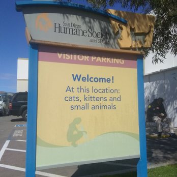 SAN DIEGO HUMANE SOCIETY - Updated September 2025 - 28 Photos & 37 ...