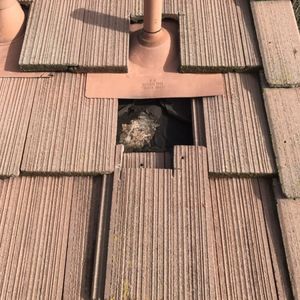 STRAIGHT LINE ROOFING & CONSTRUCTION - Updated December 2025 - 136 ...