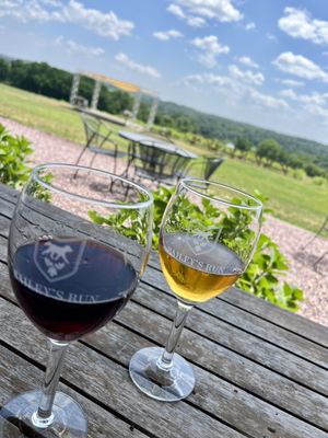 BAILEY’S RUN VINEYARD & WINERY - Updated June 2025 - 142 Photos & 63 ...