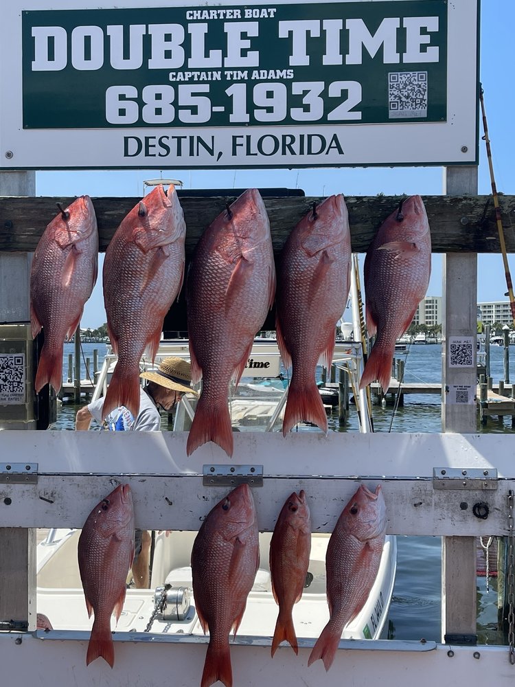 DOUBLE TIME CHARTERS - Updated October 2025 - 26 Photos & 12 Reviews ...