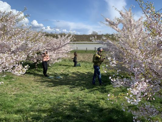 LARRY BERG FLIGHT PATH PARK - Updated April 2025 - 32 Photos - Richmond ...