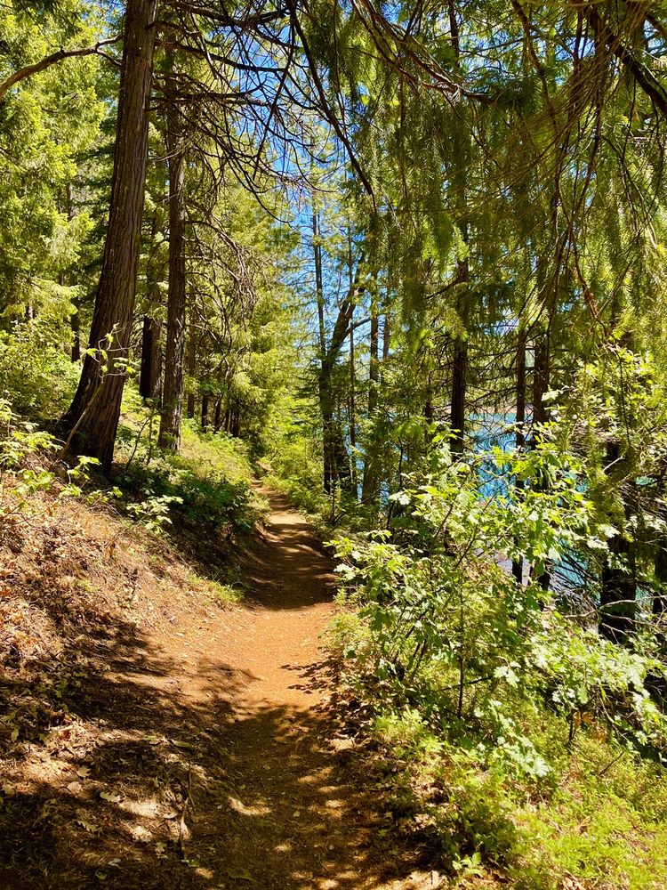 SLY PARK RESORT - Updated July 2024 - 44 Photos & 26 Reviews - 4782 Sly ...