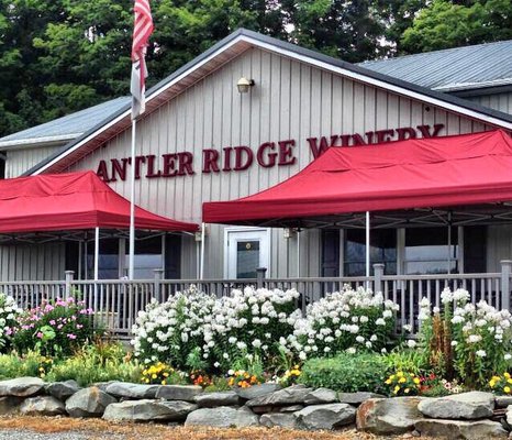 ANTLER RIDGE WINERY - Updated October 2025 - 37 Antler Ridge Ln, Ulster ...
