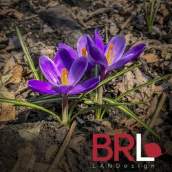 BRL DESIGN - 71 Photos & 18 Reviews - Landscaping - Chicago, IL - Phone ...