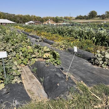 NELSON PRODUCE FARM - Updated January 2026 - 169 Photos & 27 Reviews ...