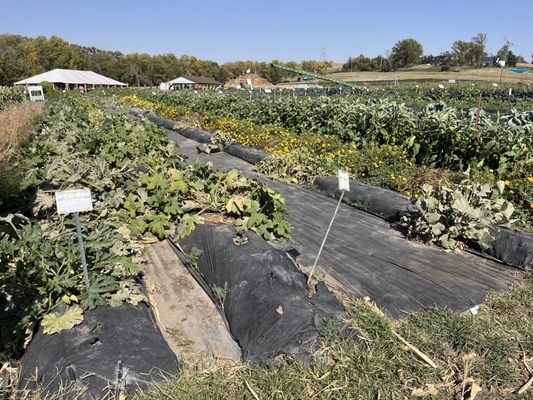 NELSON PRODUCE FARM - Updated December 2025 - 169 Photos & 27 Reviews ...