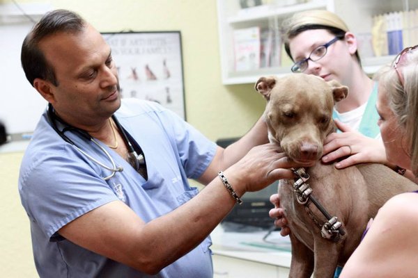 ABOITE ANIMAL CLINIC & HOUSECALL PRACTICE - Updated October 2025 - 26 ...