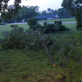 CLARK TREE SERVICE - Updated October 2025 - 27 Photos & 12 Reviews ...