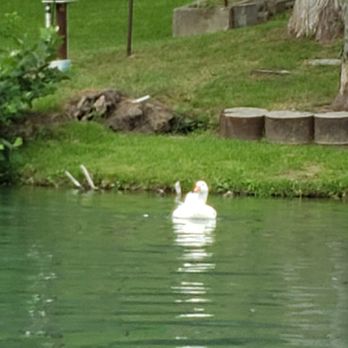 TUBE HAUS - Updated January 2026 - 23 Photos & 110 Reviews - 12454 Farm ...