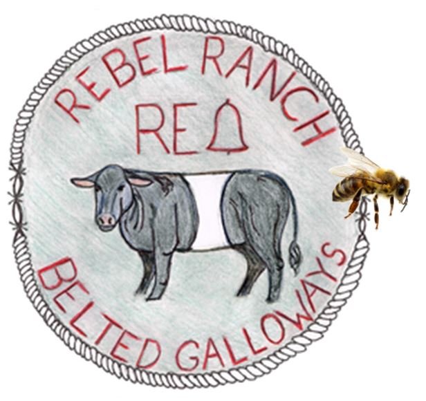 REBEL RANCH - Updated June 2024 - PENROSE, Colorado - Ranches - Phone ...