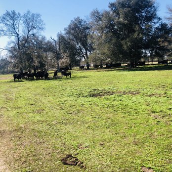 DIAMOND D RANCH - Updated December 2025 - 64 Photos & 22 Reviews - 5903 ...